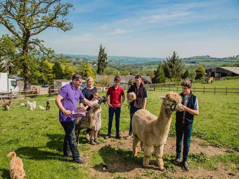 Graig Farm Organics, Game Butchers Near Me, Meat Boxes UK
